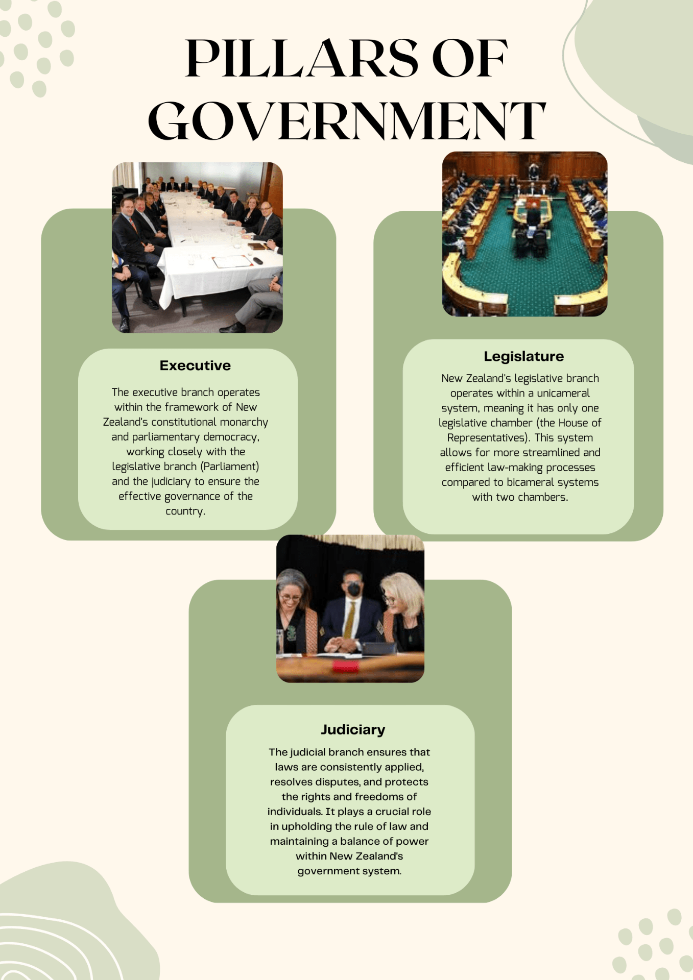 The PILLARS OF GOVERMENT – Raffy @ Hornby High School